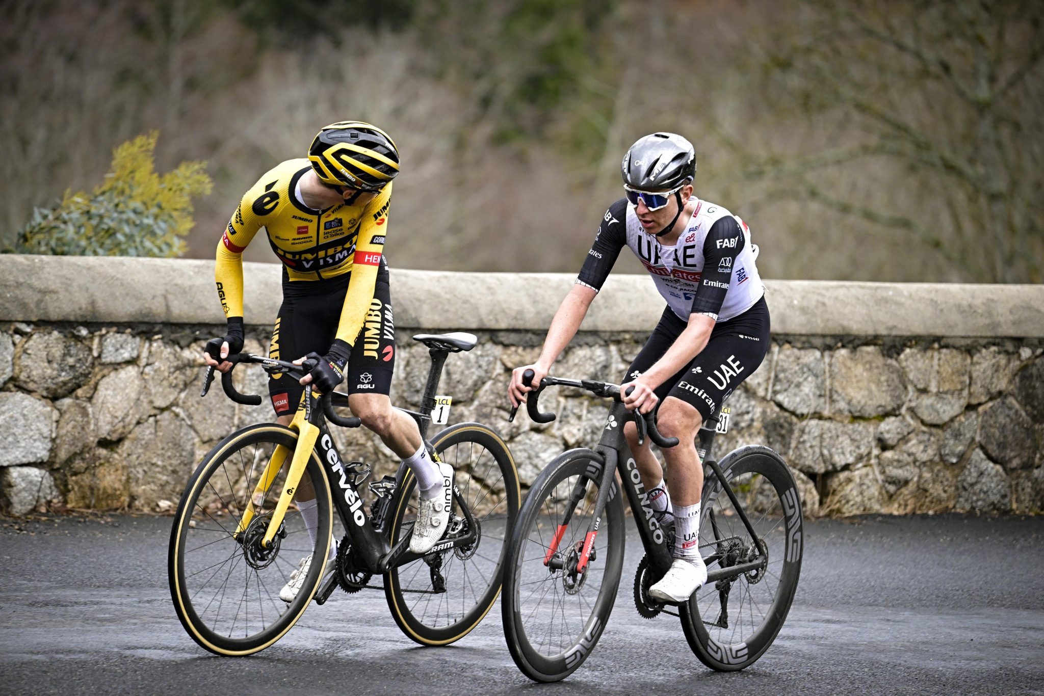 Conhecidas as 22 equipas do Tour 2024